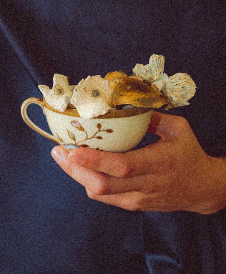 Microdose Teas - Moment Mushrooms