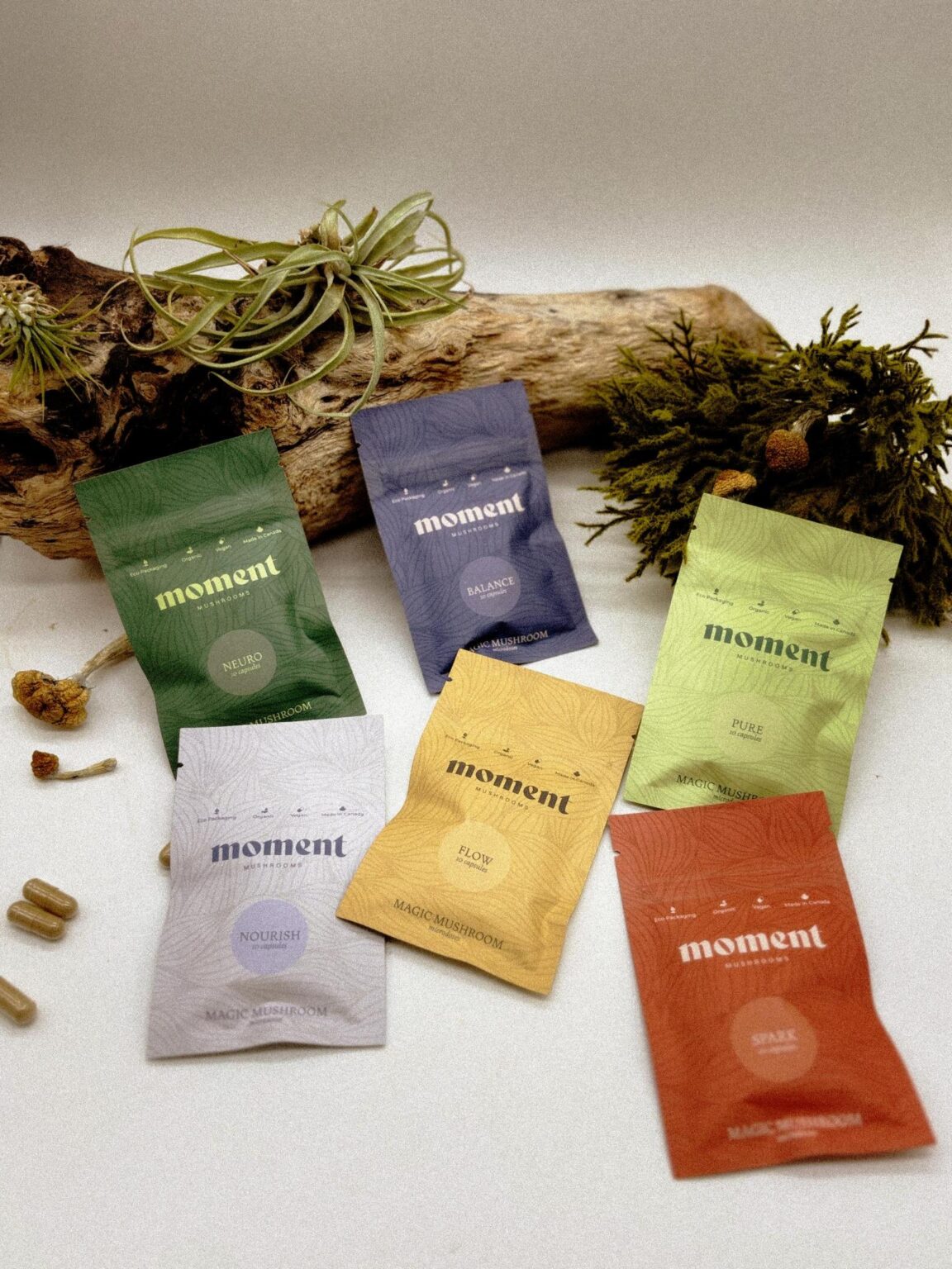 Microdosing Sampler Packs - Moment Mushrooms