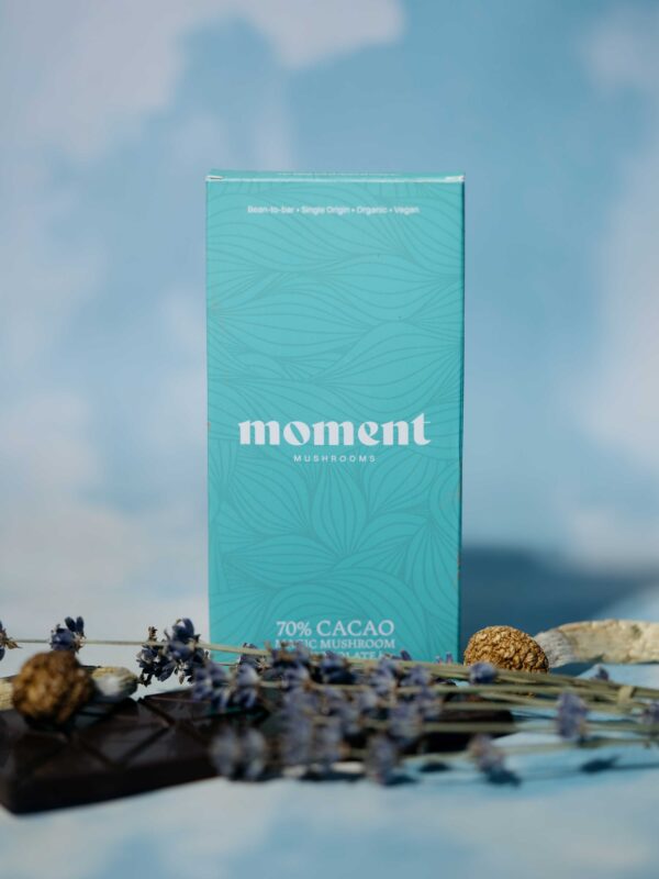 Chocolate - Moment Mushrooms